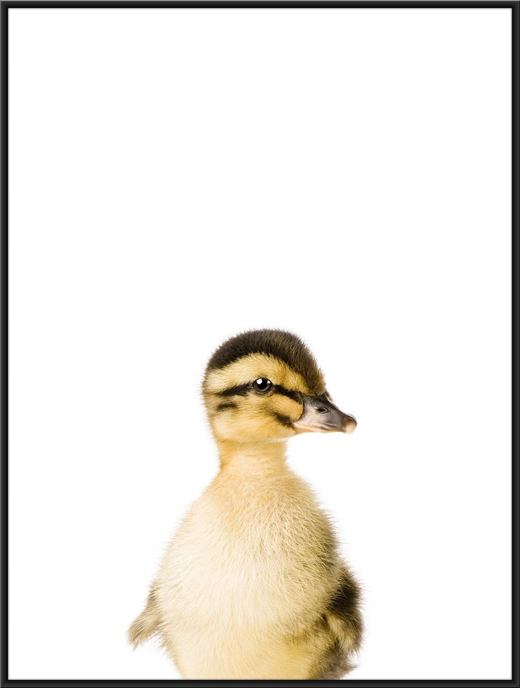 Duckling poster, baby duck print, kid's bedroom poster, nursery wall ...